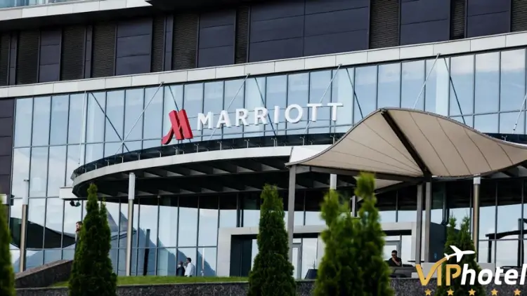 Marriott Bonvoy: The Best Hotel Loyalty Program for 2024 - Vip Hotel ...
