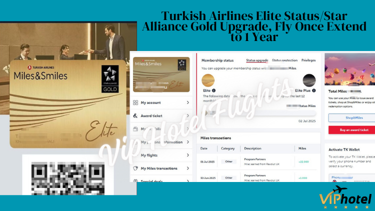 Turkish Airlines Elite Status/Star Alliance Gold Upgrade, Fly Once ...