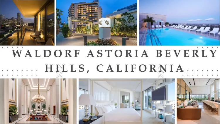 Best Hilton Hotels in the US for 2025 - Vip Hotel Flights